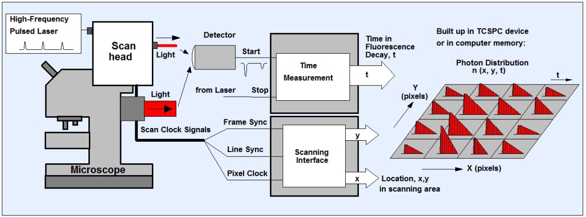 应用中心 - 量感科技 Q-opto