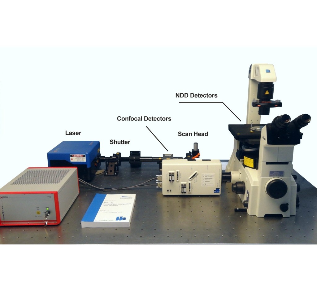 具有同步PH成像功能的代谢FLIM - 量感科技 Q-opto